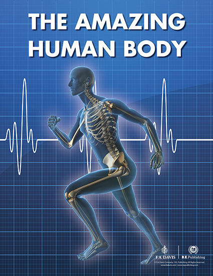 The Amazing Human Body the-amazing-human-body